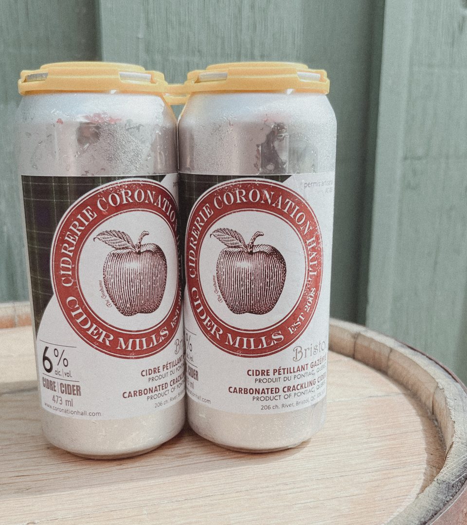 Van life Visages régionaux reason 10 – MRC de Pontiac