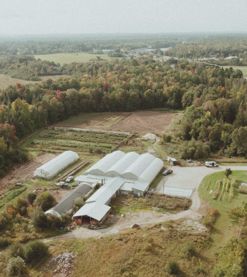 Les Serres Paul Amyotte + Plantes Modernes & Plus – MRC de Pontiac