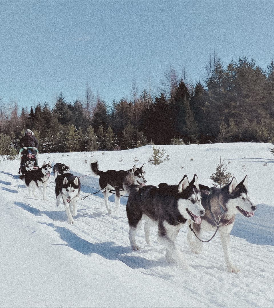 Escapade Huskimo – MRC de Pontiac